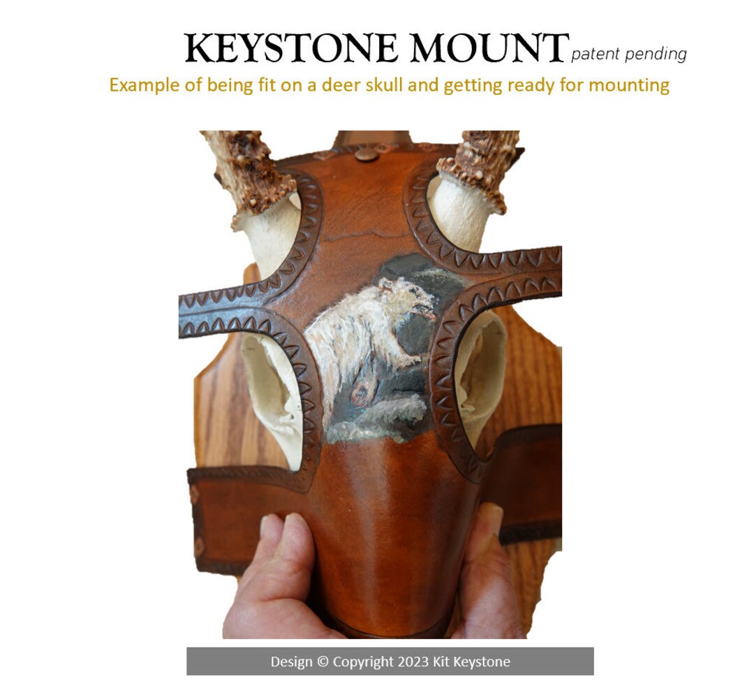 Deer or Antelope Skull Mount DIY Kit Spirit Bear on Tooled - Etsy