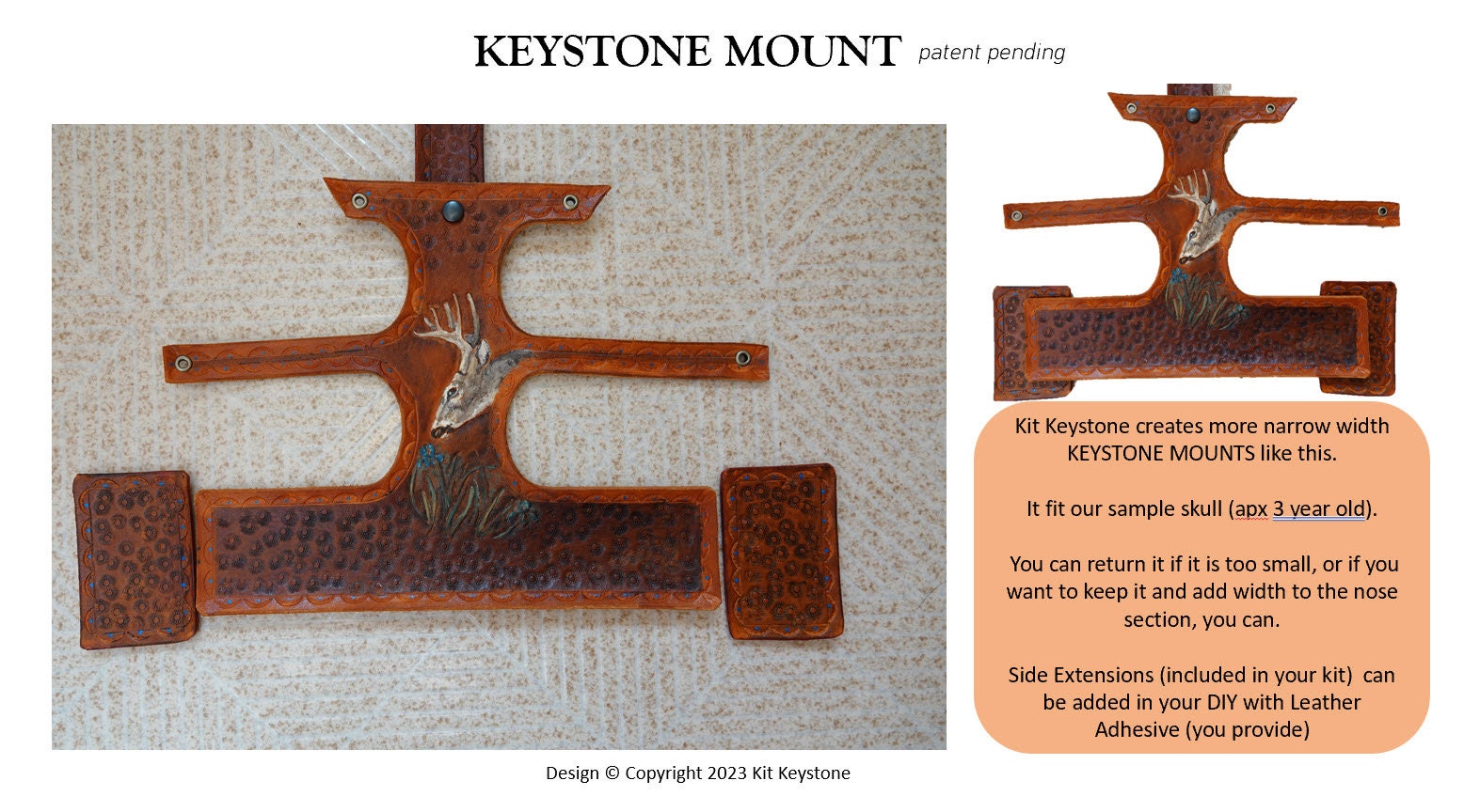 Euro Skull Mount DIY Kit, Whitetail Deer Tooled and Painted on Leather ...