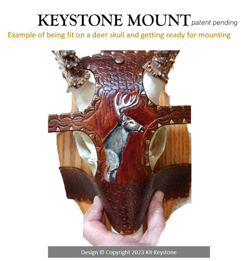Deer Skull Mount DIY Kit, Whitetail Deer Tooled and Painted on Leather ...