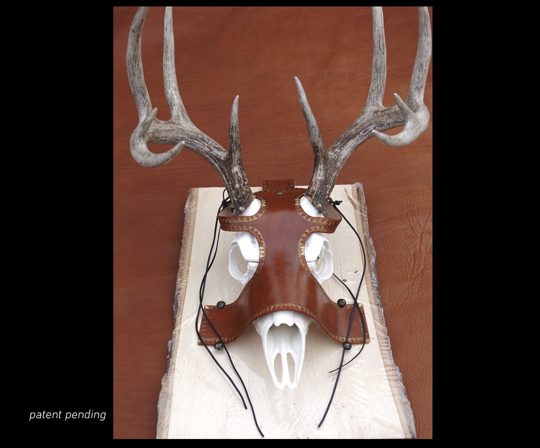 Skull Mount Kit for DIY Mounting Deer or Antelope Skulls, Tooled ...