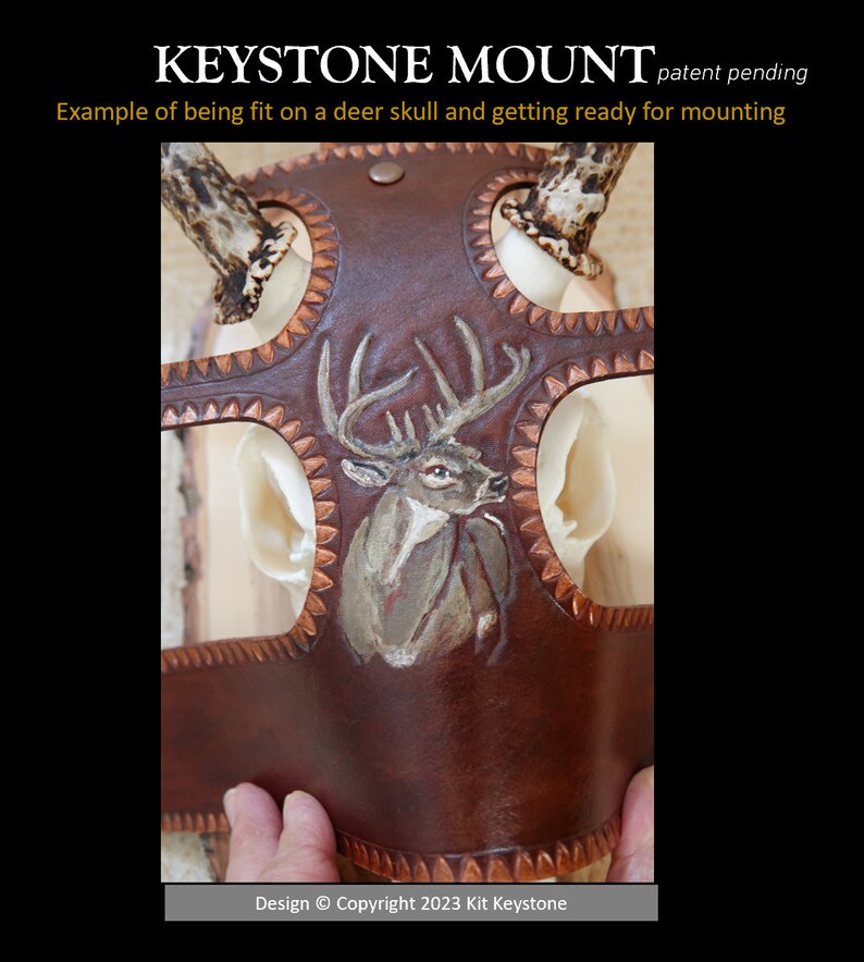 Deer Skull Mount DIY Kit, Whitetail Deer Design on Leather, KEYSTONE ...