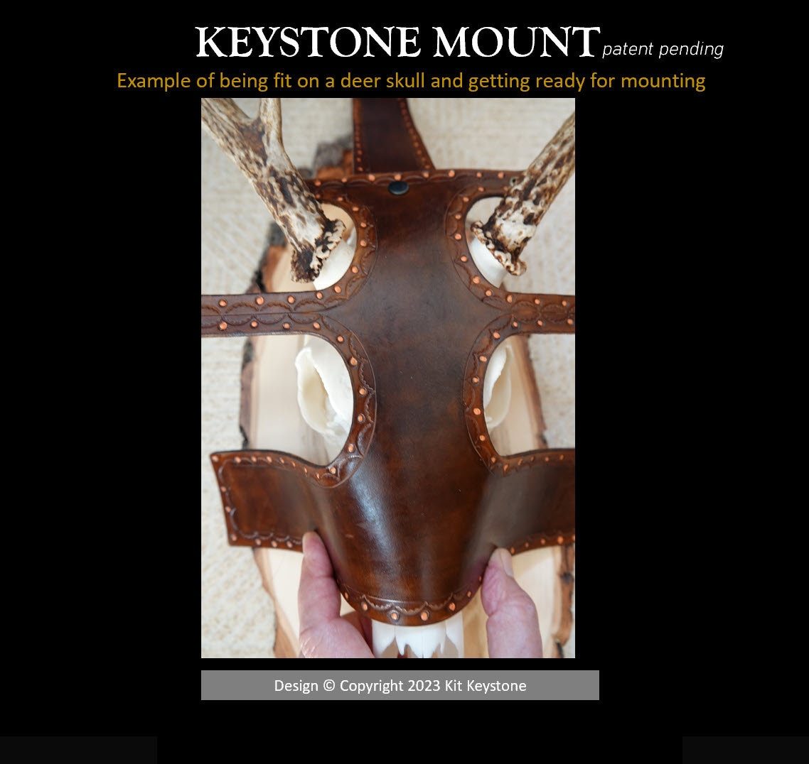 Euro Skull Mount DIY Kit, Tooled and Color Accents, Fits Deer Antelope ...