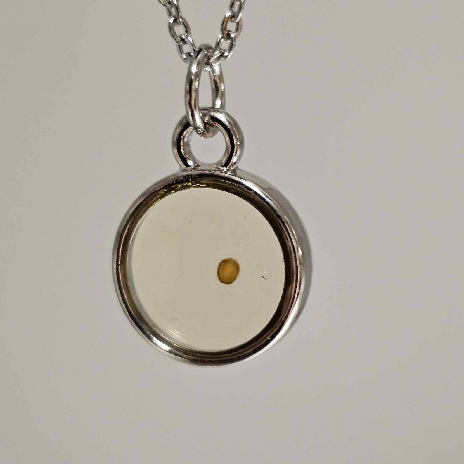 Mustard Seed Encased in Resin - Etsy