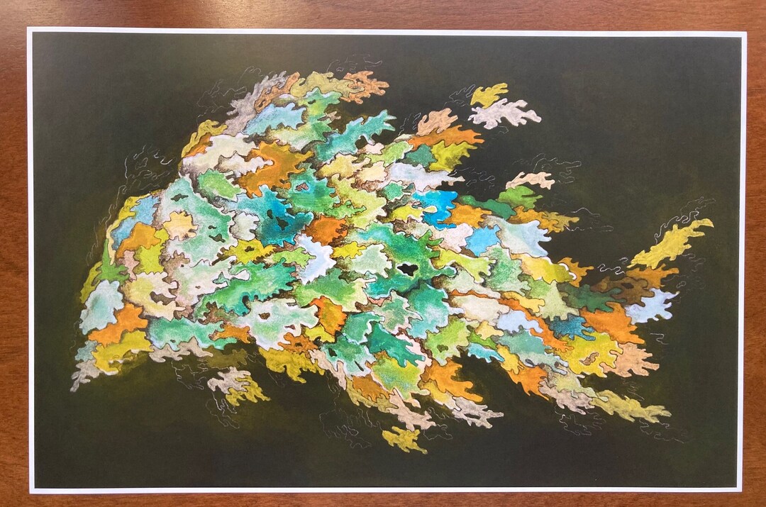 Lichen Patient, Lichen Kind - Print - Etsy