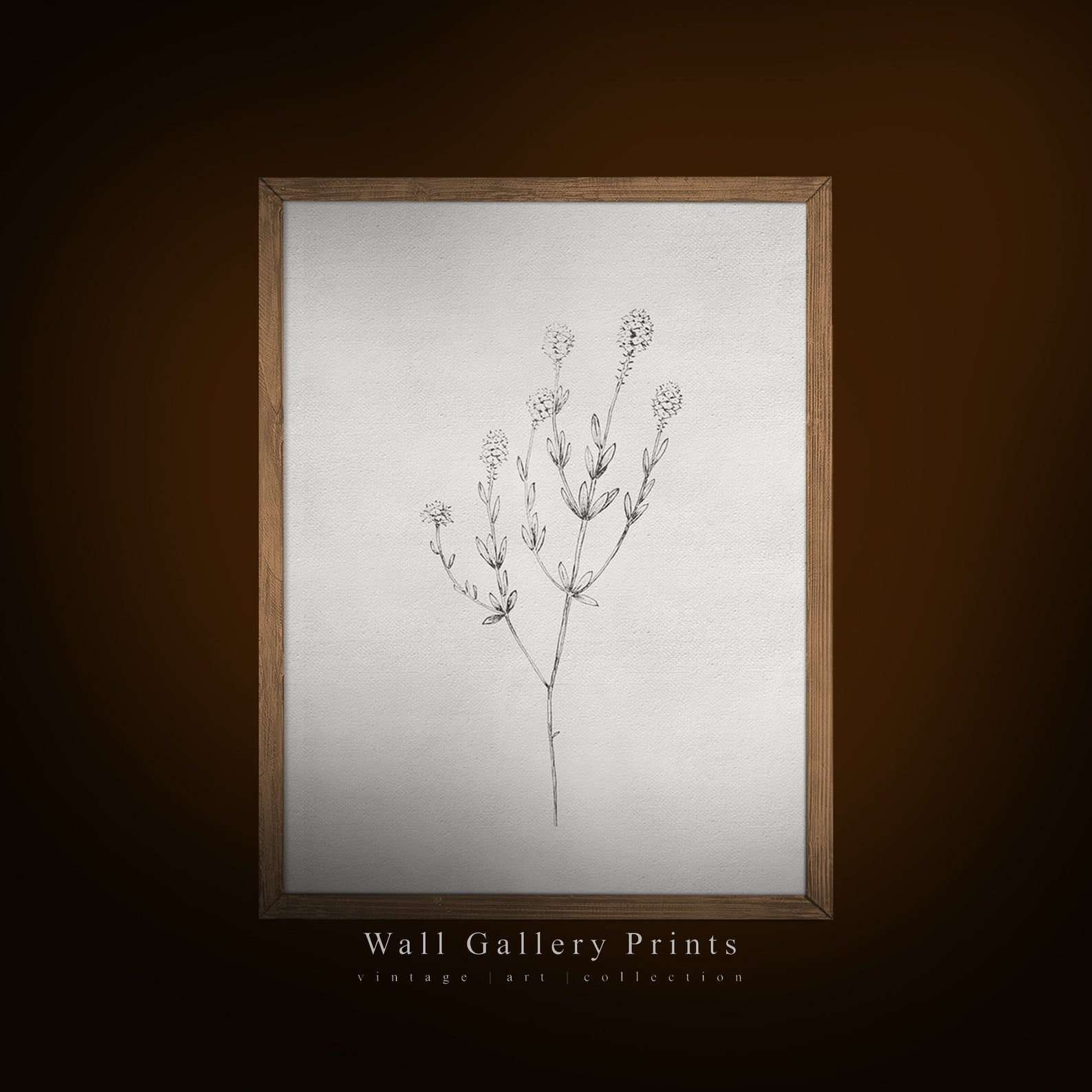 Vintage Botanical Drawing SET | Antique Sketch Print | PRINTABLE ...