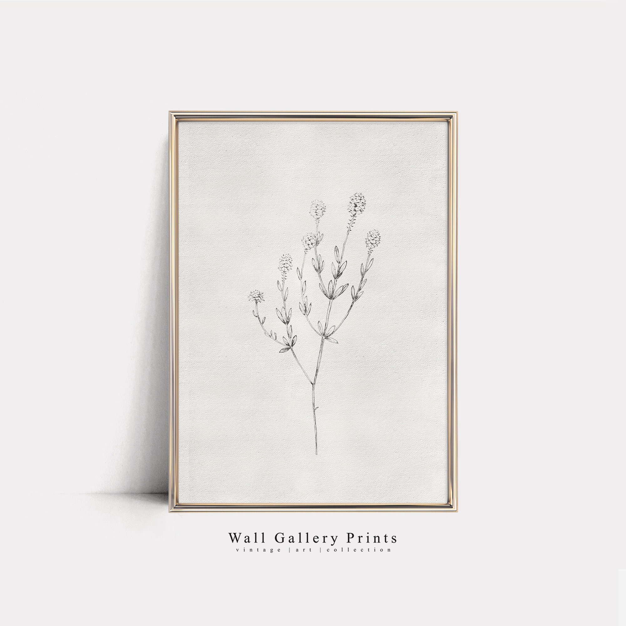 Vintage Botanical Drawing SET | Antique Sketch Print | PRINTABLE ...