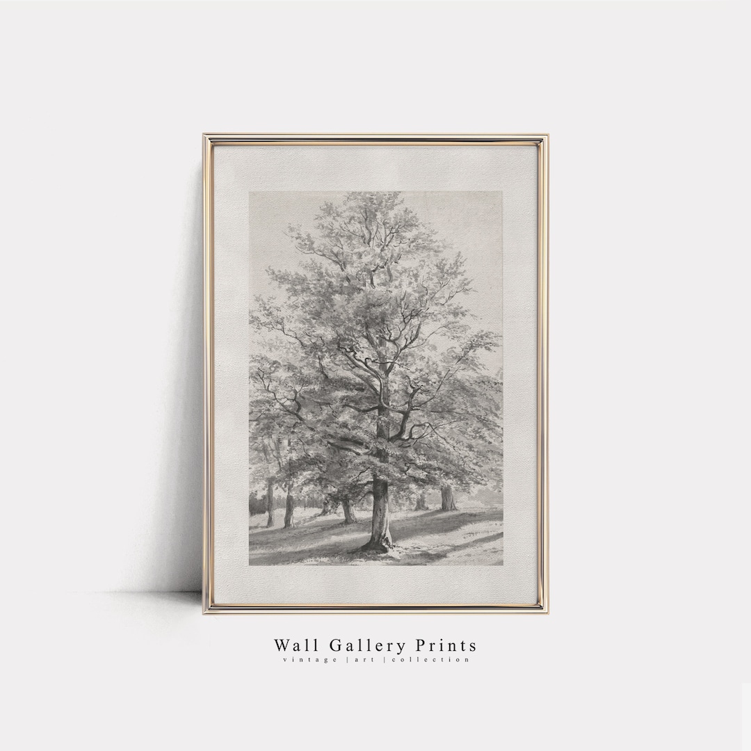 Antique Tree Sketch | Vintage Botanical Print | PRINTABLE Digital Art ...
