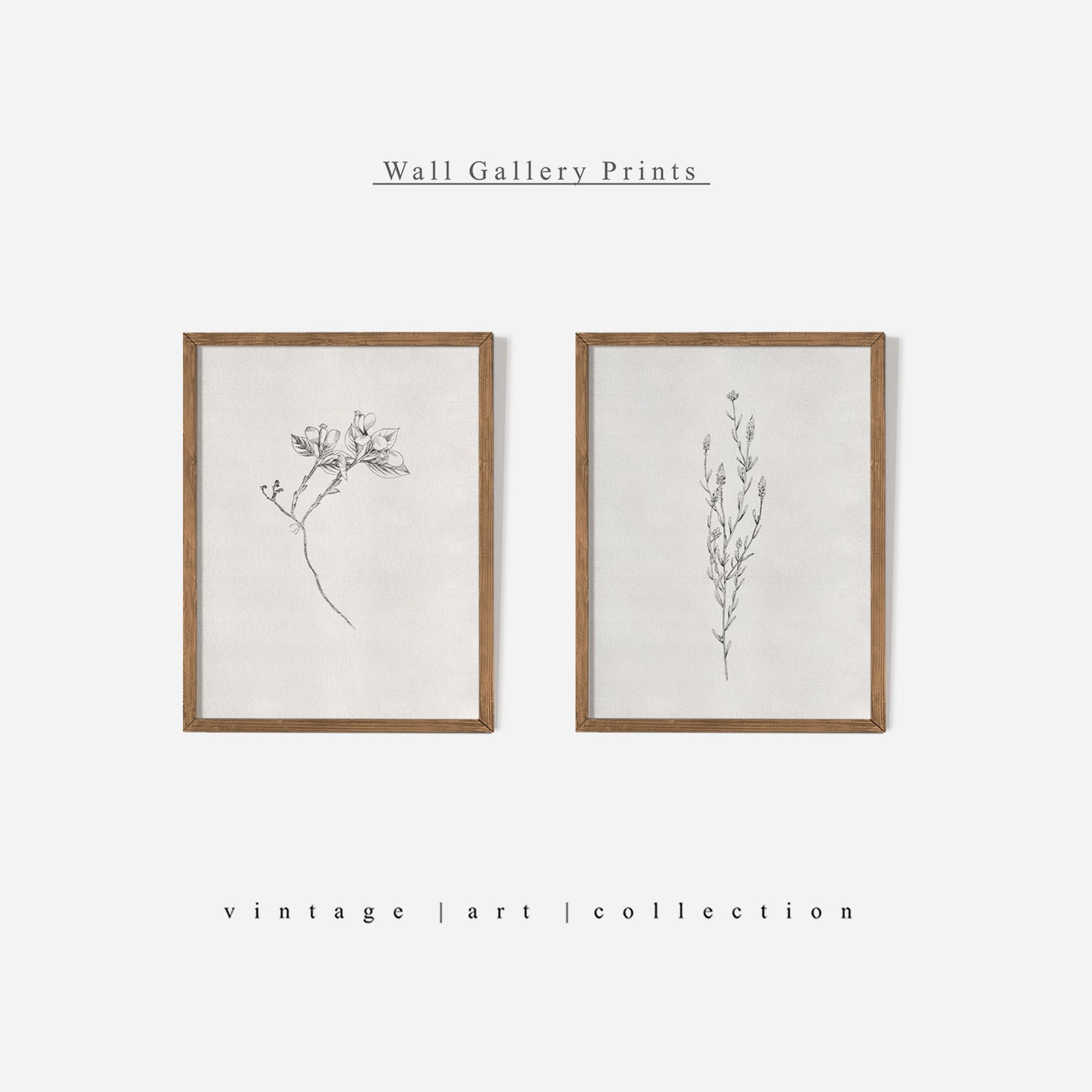 Vintage Botanical Drawing SET | Antique Sketch Print | PRINTABLE ...