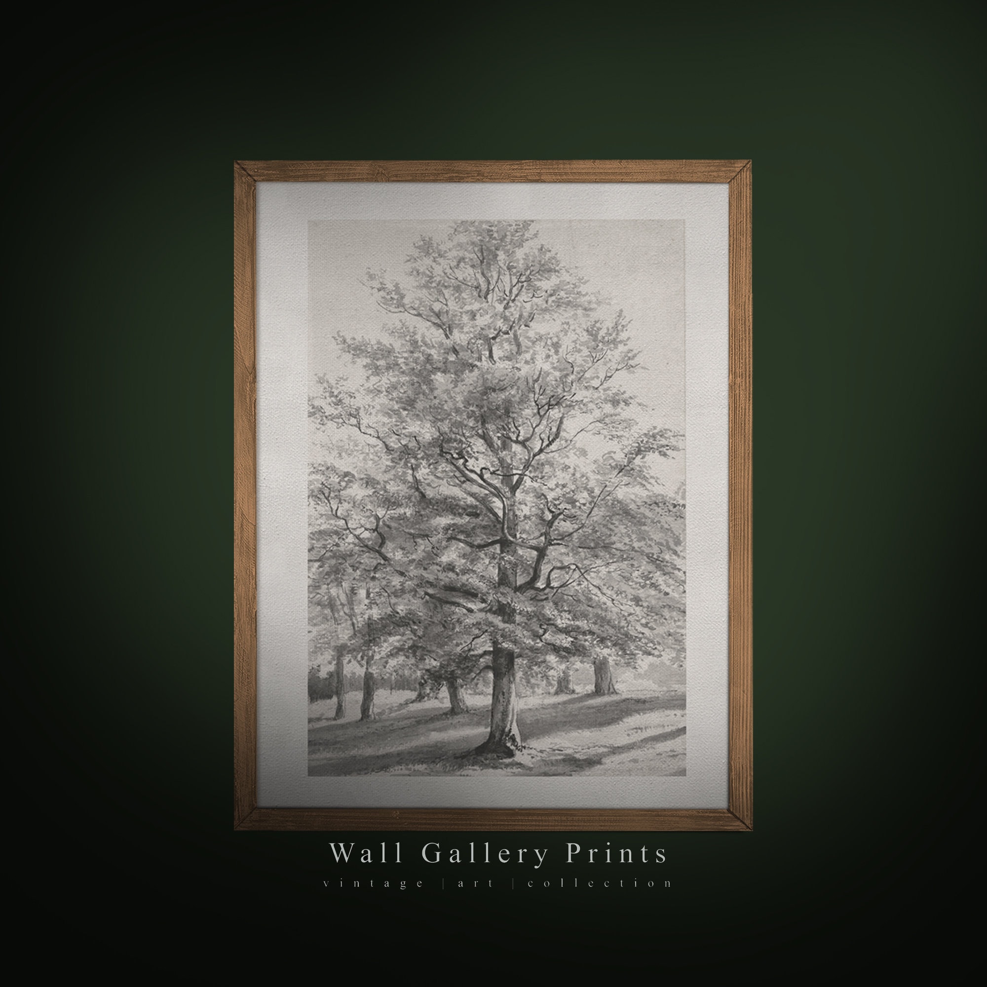 Antique Tree Sketch Vintage Botanical Print PRINTABLE - Etsy