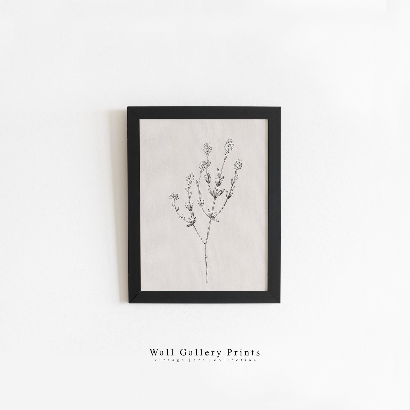 Vintage Botanical Drawing SET Antique Sketch Print - Etsy