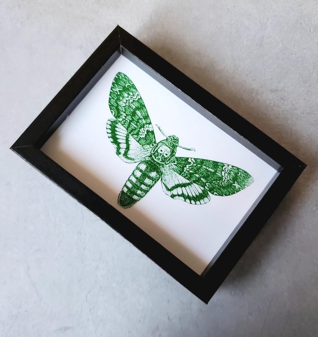 Framed Mini Print + Magnet - Death's Head Hawk Moth - Skeleton Moth ...