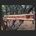 OUTDOOR Live Edge Cedar Wood Sign - Custom Carved Sign - Cabin Sign ...