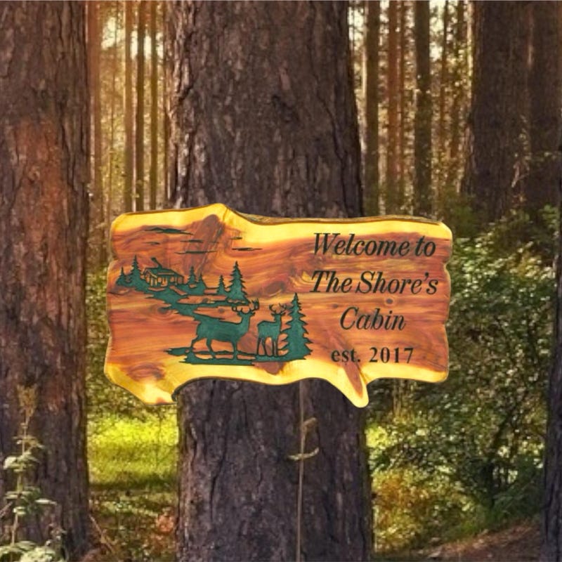 Carved Wooden Signs - Etsy