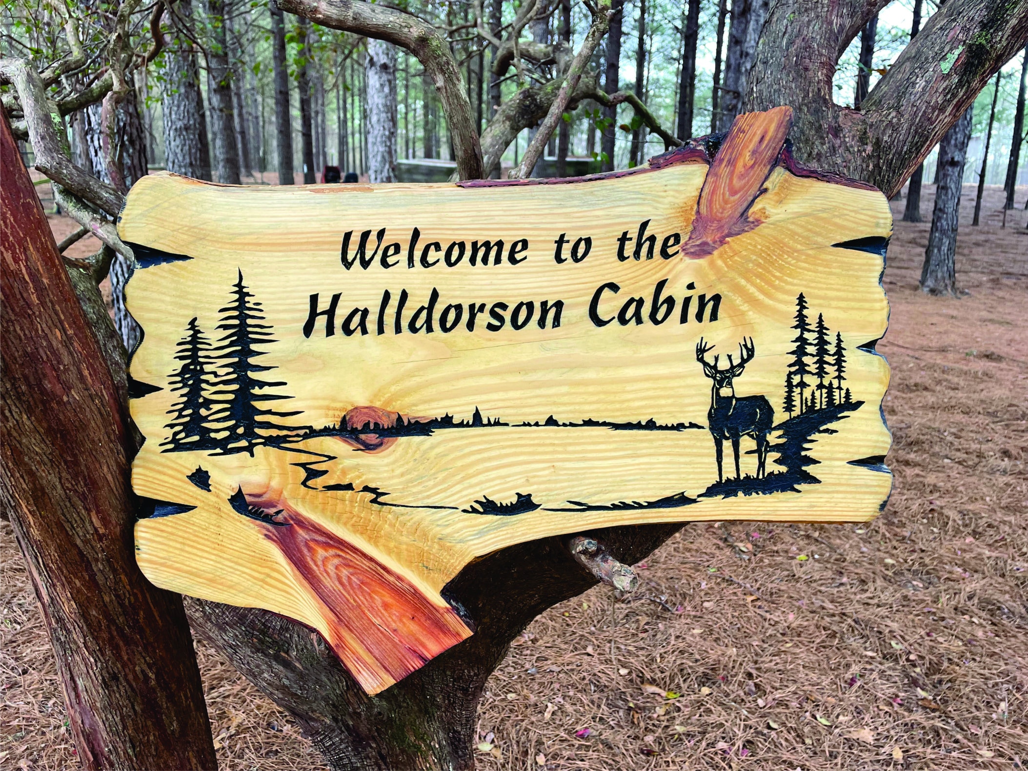Rustic Sign Live Edge Longleaf Pine Wood Deer Lake - Etsy
