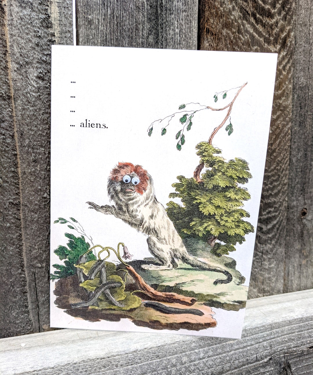 Aliens. Greeting Card With Googly Eyes - Etsy