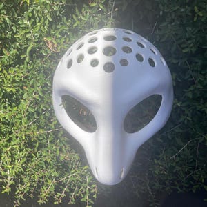 Novabeast 3D Fursuit Head Base 3D Printed Fursuit Mask, Animal Cosplay ...