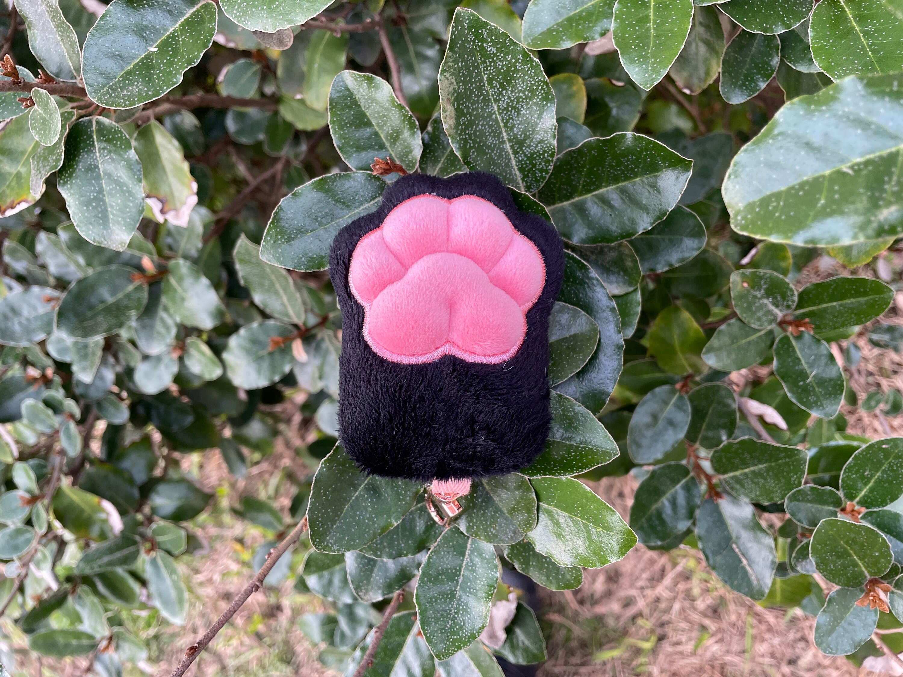 ITH Mochi Paw Charm Embroidery Pattern DIGITAL DOWNLOAD - Etsy
