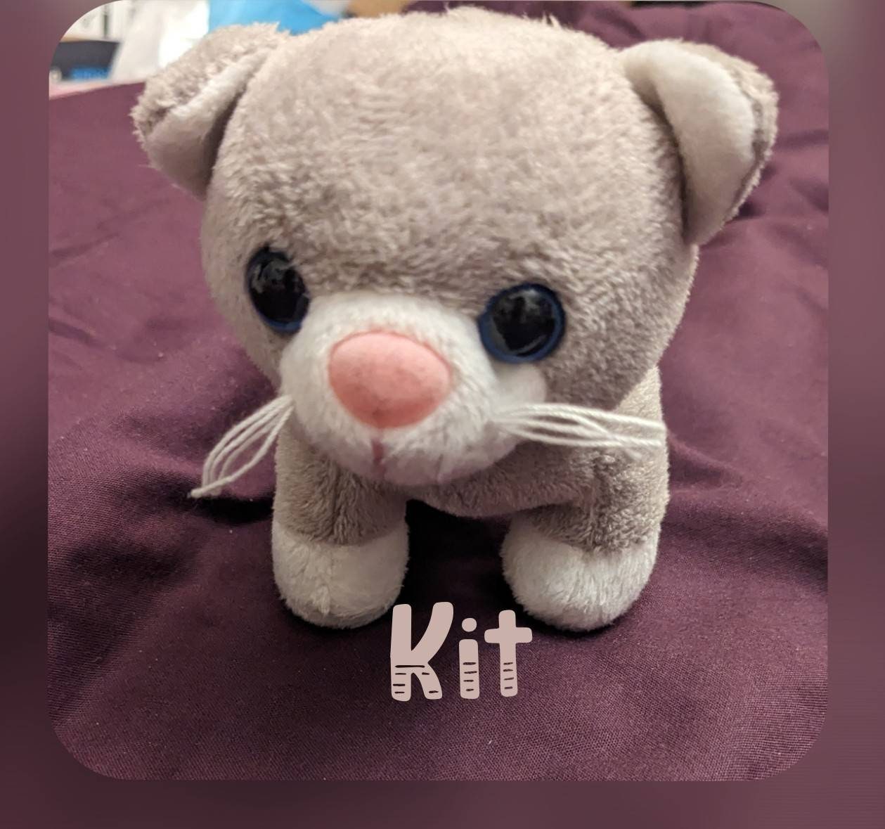 Adopt a Stuffie - Etsy UK