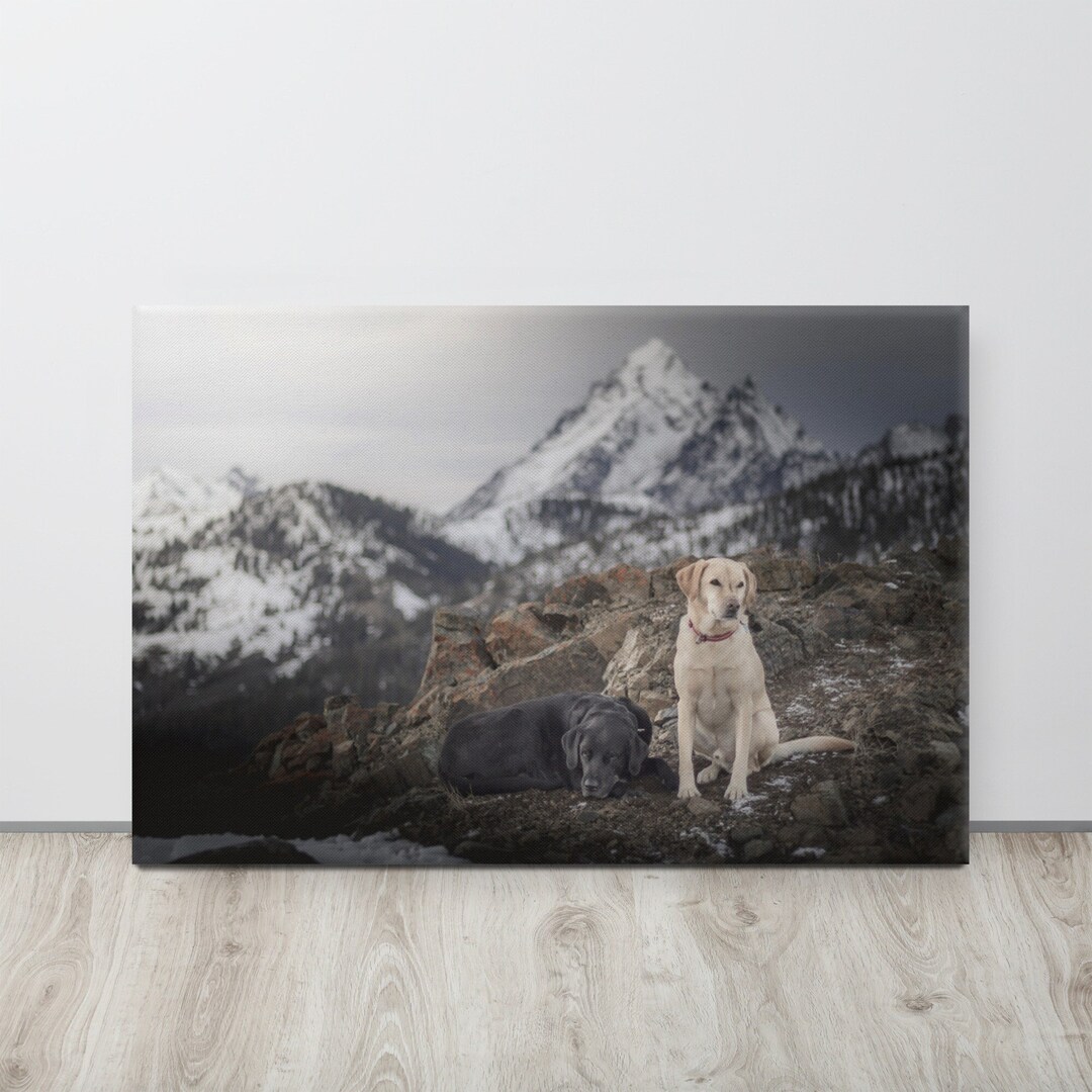 Homeward Bound Chocolate and Yellow Labs in Mountain Landscape - Pet ...