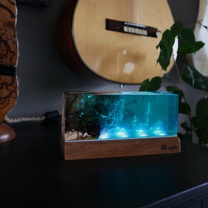 Resin Lamp, Night Light, Epoxy Lamp, Resin Night Light, Epoxy Resin ...