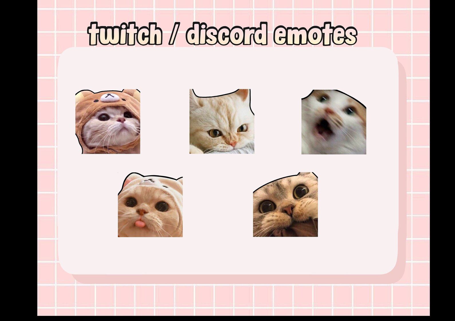 Cute Kawaii 5 Cat Meme Emotes for Discord / Twitch - Etsy