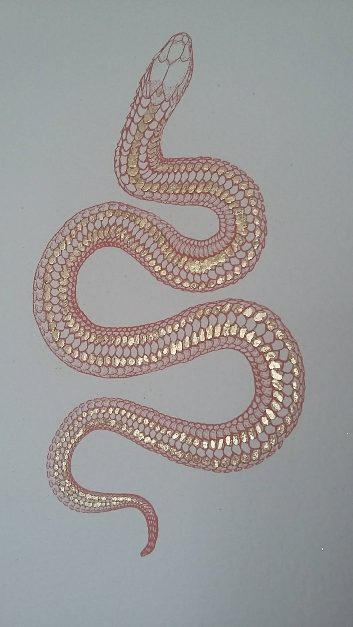 Animalia Red Gilded Snake Art Print A5 UNFRAMED - Etsy