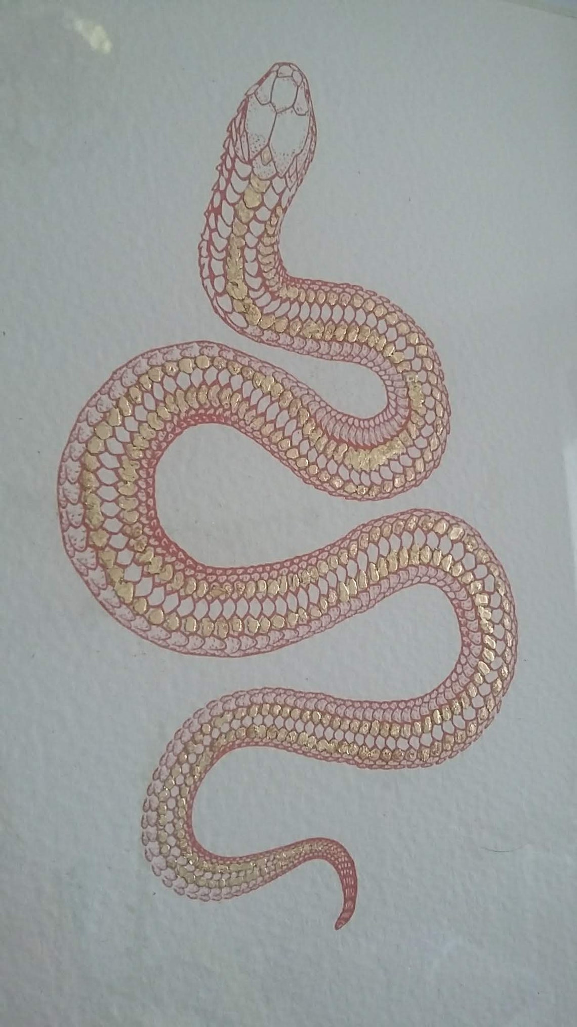 Animalia Red Gilded Snake Art Print A5 UNFRAMED - Etsy