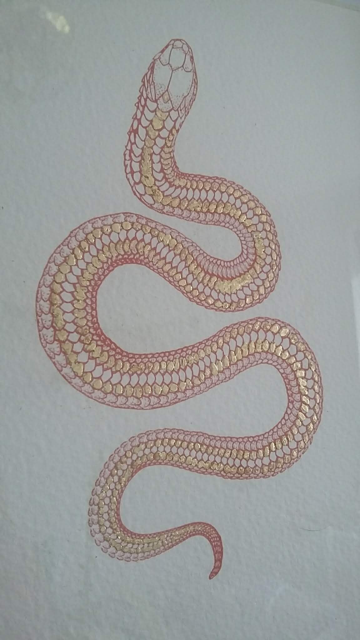 Animalia Red Gilded Snake Art Print A5 UNFRAMED - Etsy