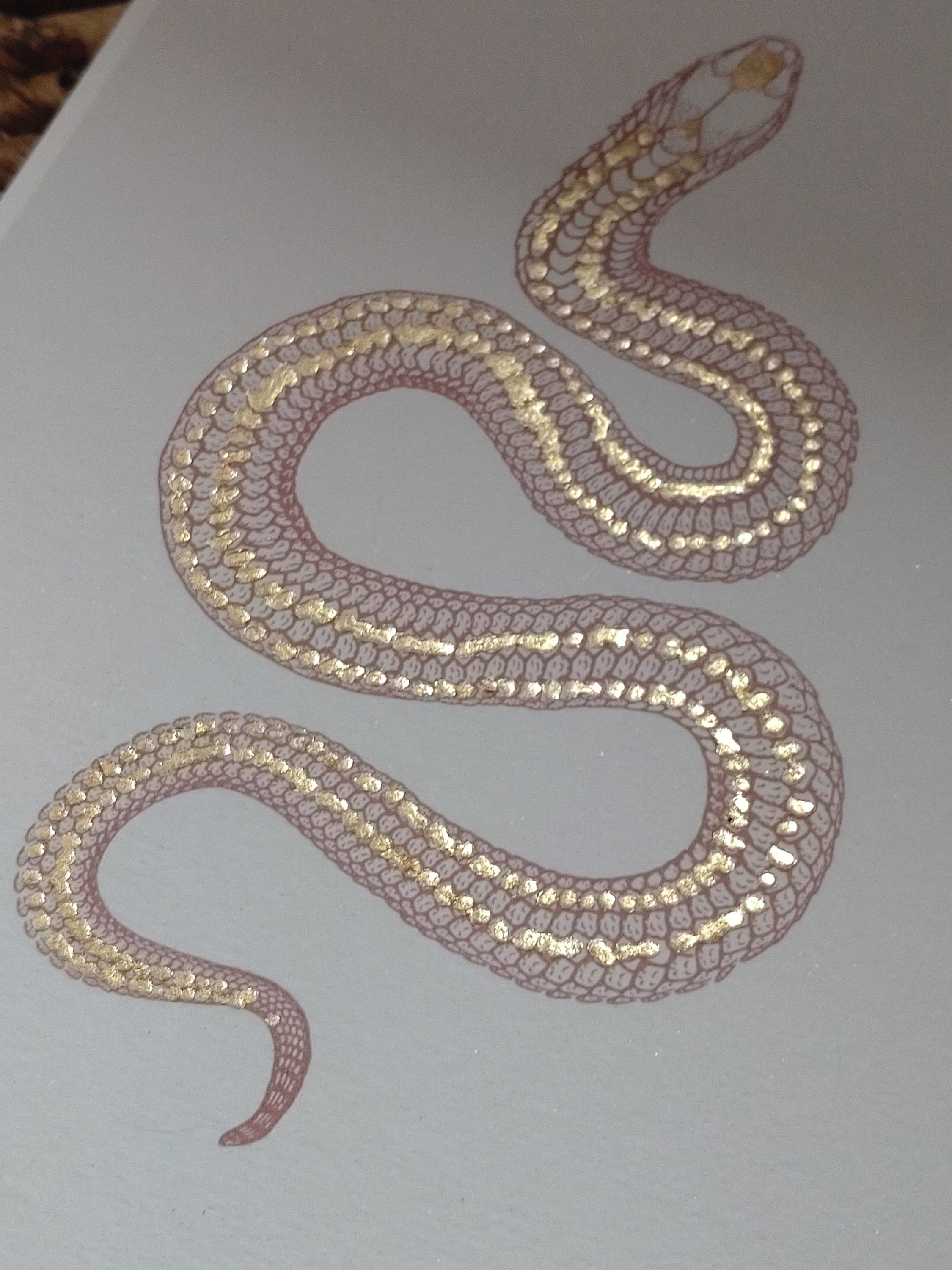 Animalia Red Gilded Snake Art Print, A5, UNFRAMED // Nature Wall Art ...