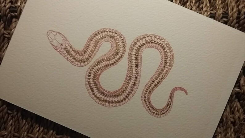 Animalia Red Gilded Snake Art Print A5 UNFRAMED - Etsy