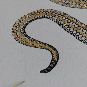 A4 Animalia Black and Gold Snake Art Print, UNFRAMED. - Etsy