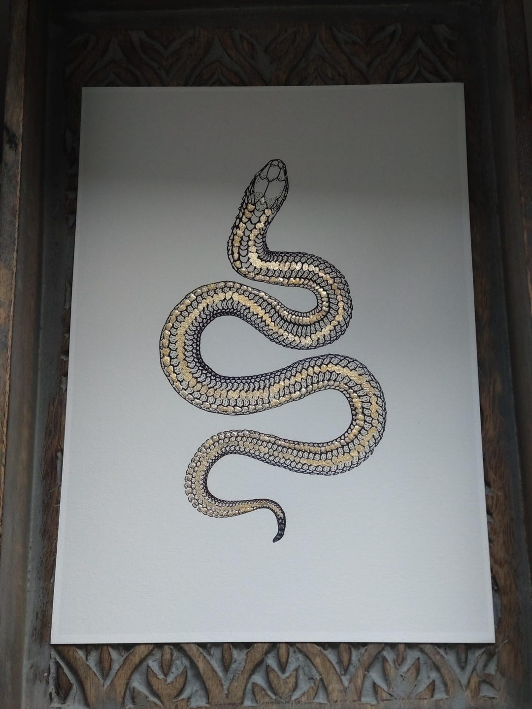 A4 Animalia Black and Gold Snake Art Print, UNFRAMED. - Etsy
