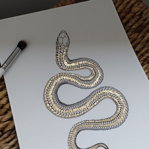 A4 Animalia Black and Gold Snake Art Print, UNFRAMED. - Etsy