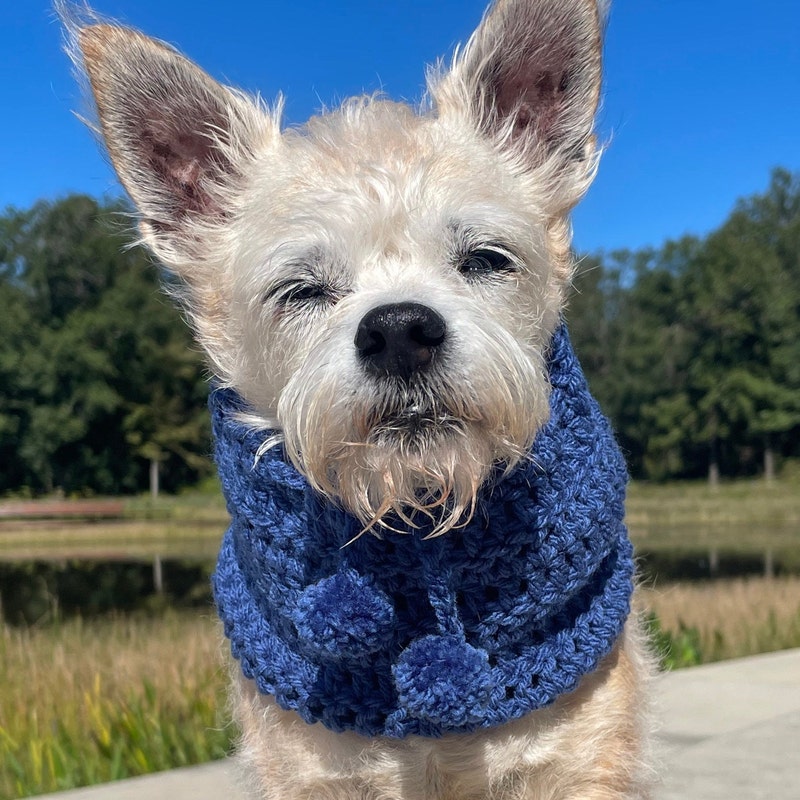 Crochet Dog Scarf - Etsy