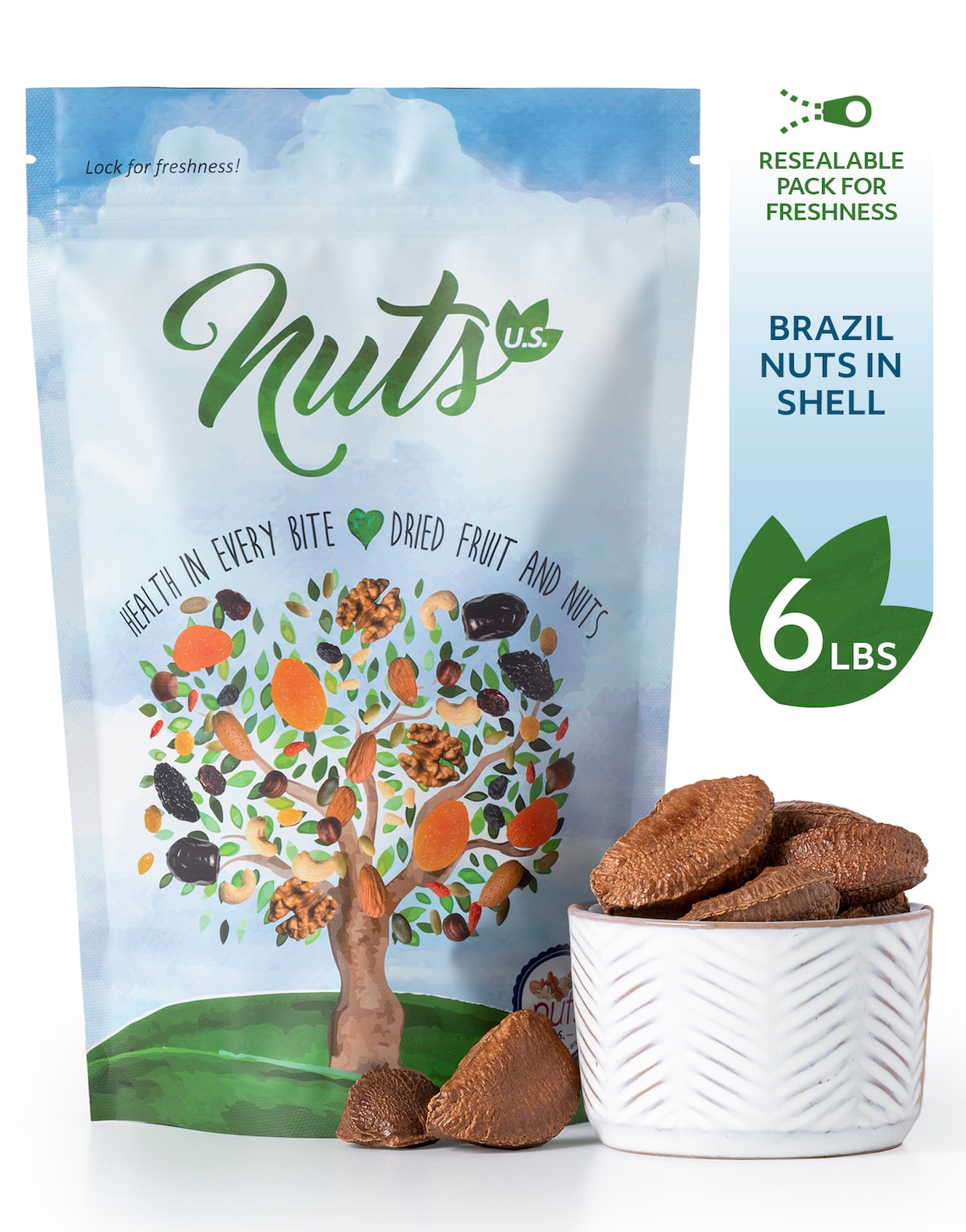 Brazil Nuts in Shell – Raw, Unsalted, Buttery Taste - Etsy