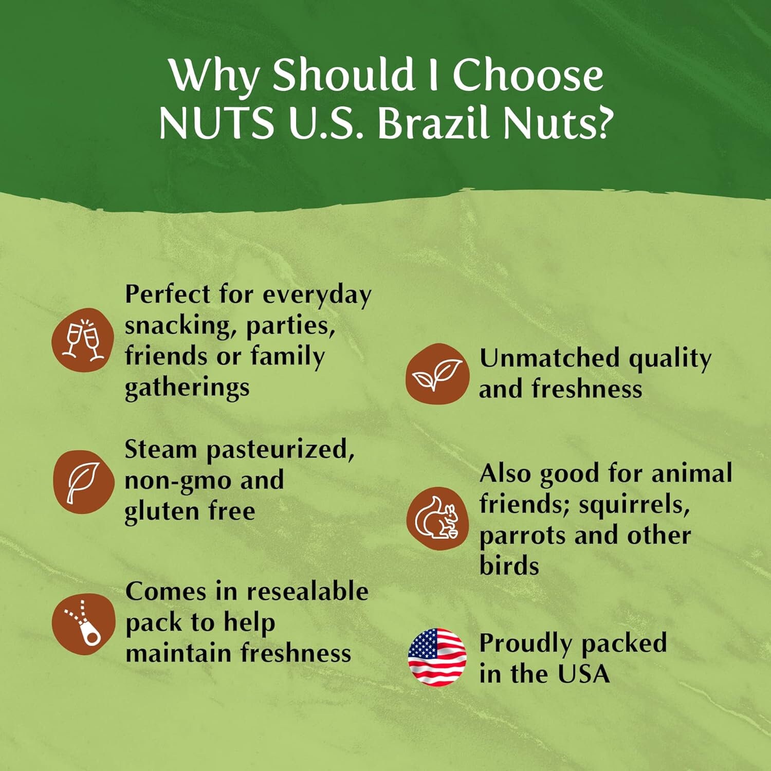 NUTS U.S. – Brazil Nuts | Shelled Whole Kernels | Raw and Unsalted ...