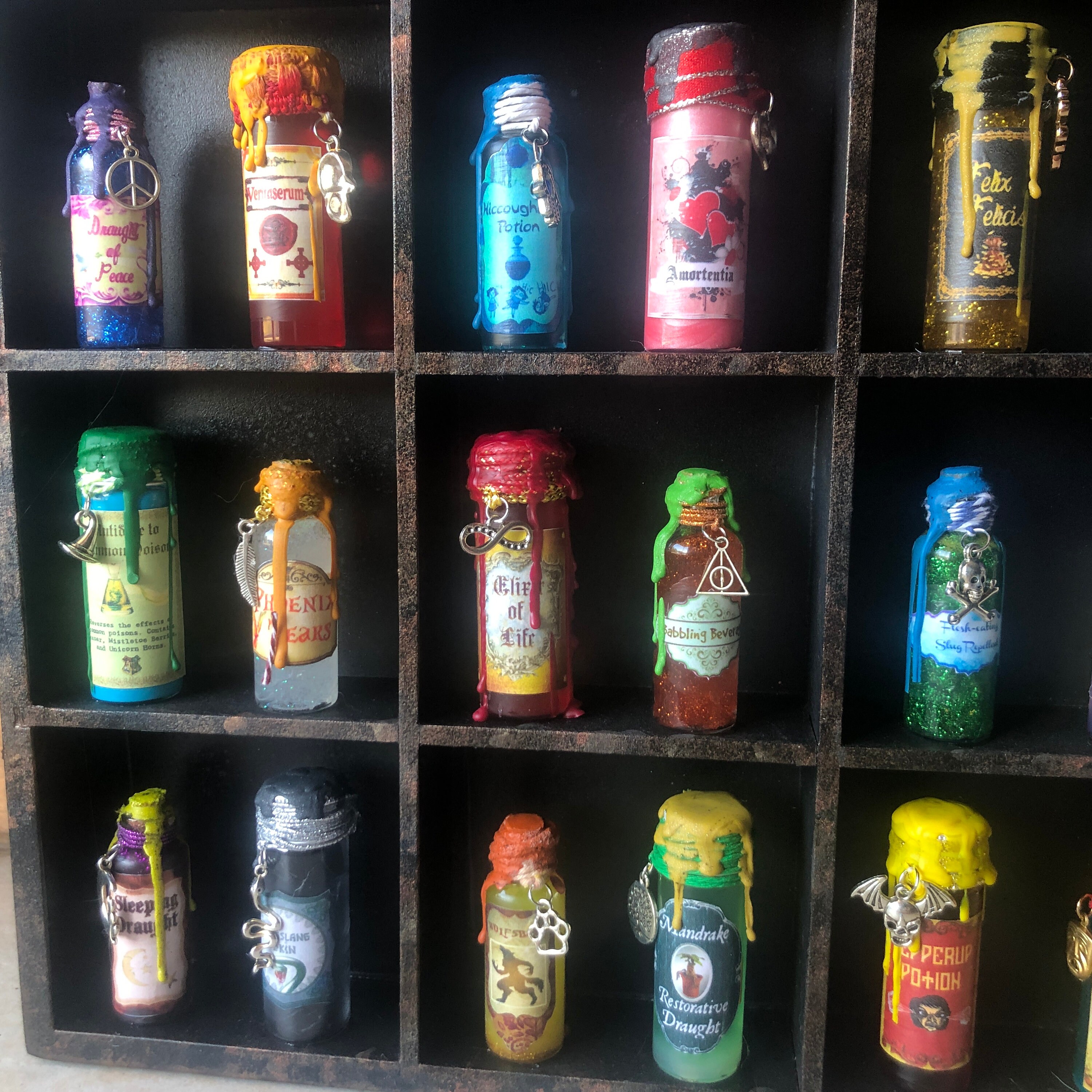 Potion Shelves Inspired by the Wizarding World (small) - Etsy