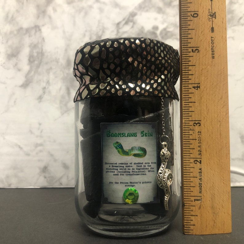 Inspired by Harry Potter Boomslang Skin - Etsy