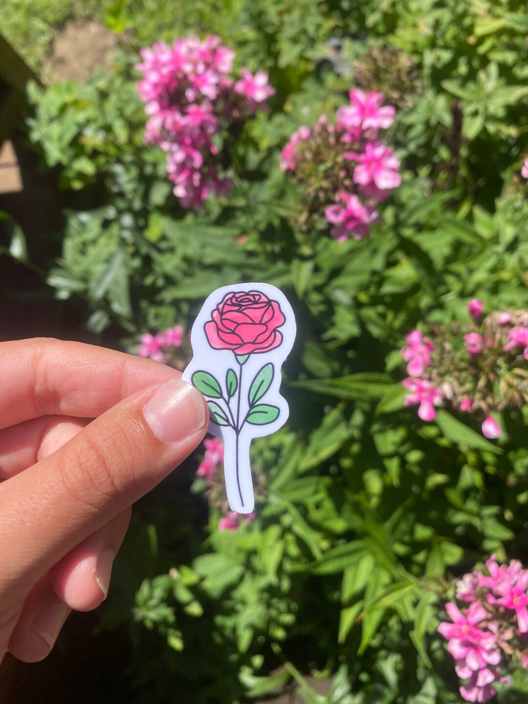 Rose Sticker, June Birth Flower Vinyl Sticker, Water Resistant and ...