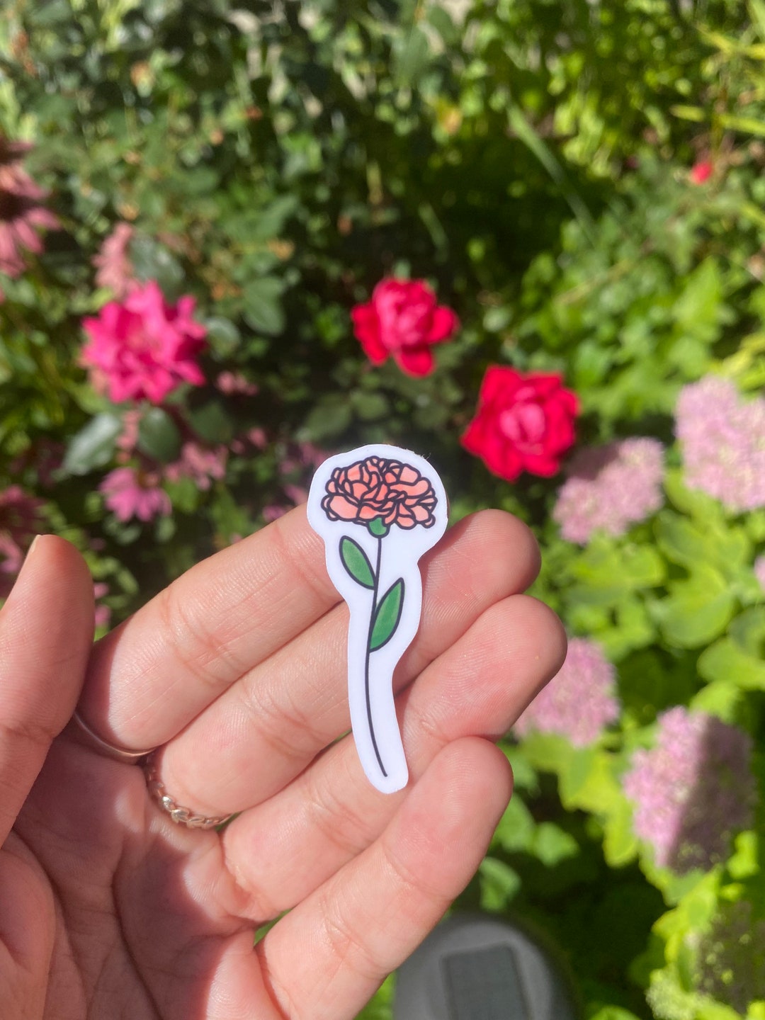 Carnation Sticker, January Birth Flower Sticker, Durable and Water ...