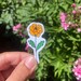 Marigold Sticker, October Birth Flower Sticker, Water Resistant and ...