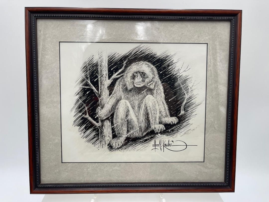 HOLD HOLD Les Kouba Original Scratchboard Art, Signed, Snow Monkey ...