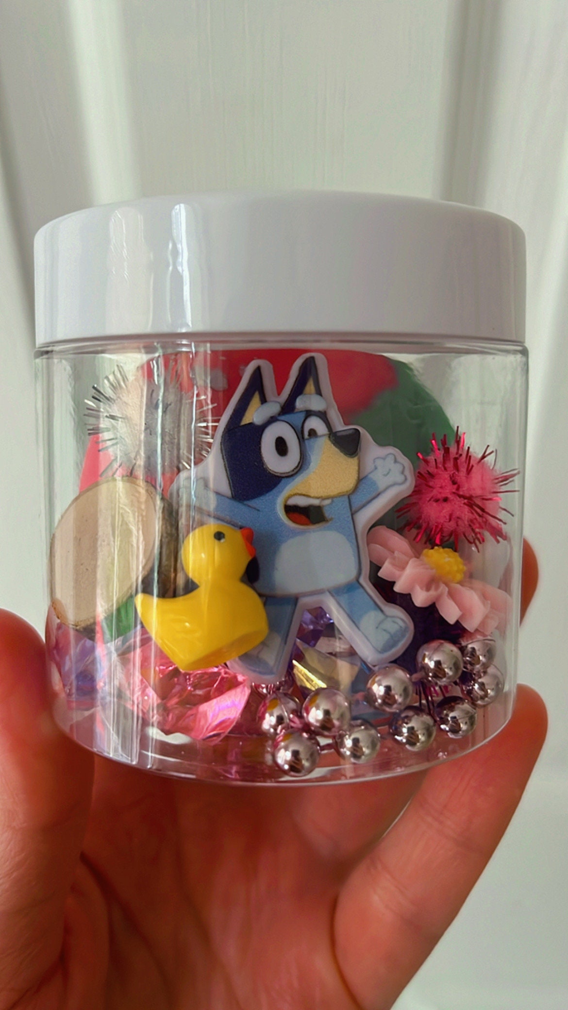 Bluey Party Favor Play Dough Jars - Etsy Canada
