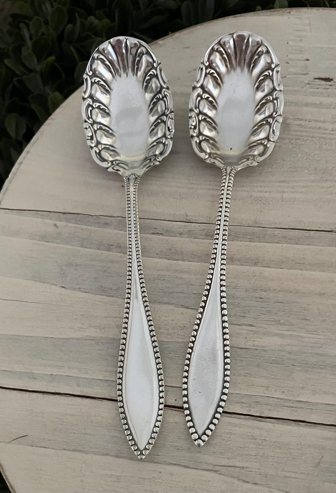 Set of Scalloped Sugar Spoons - Etsy