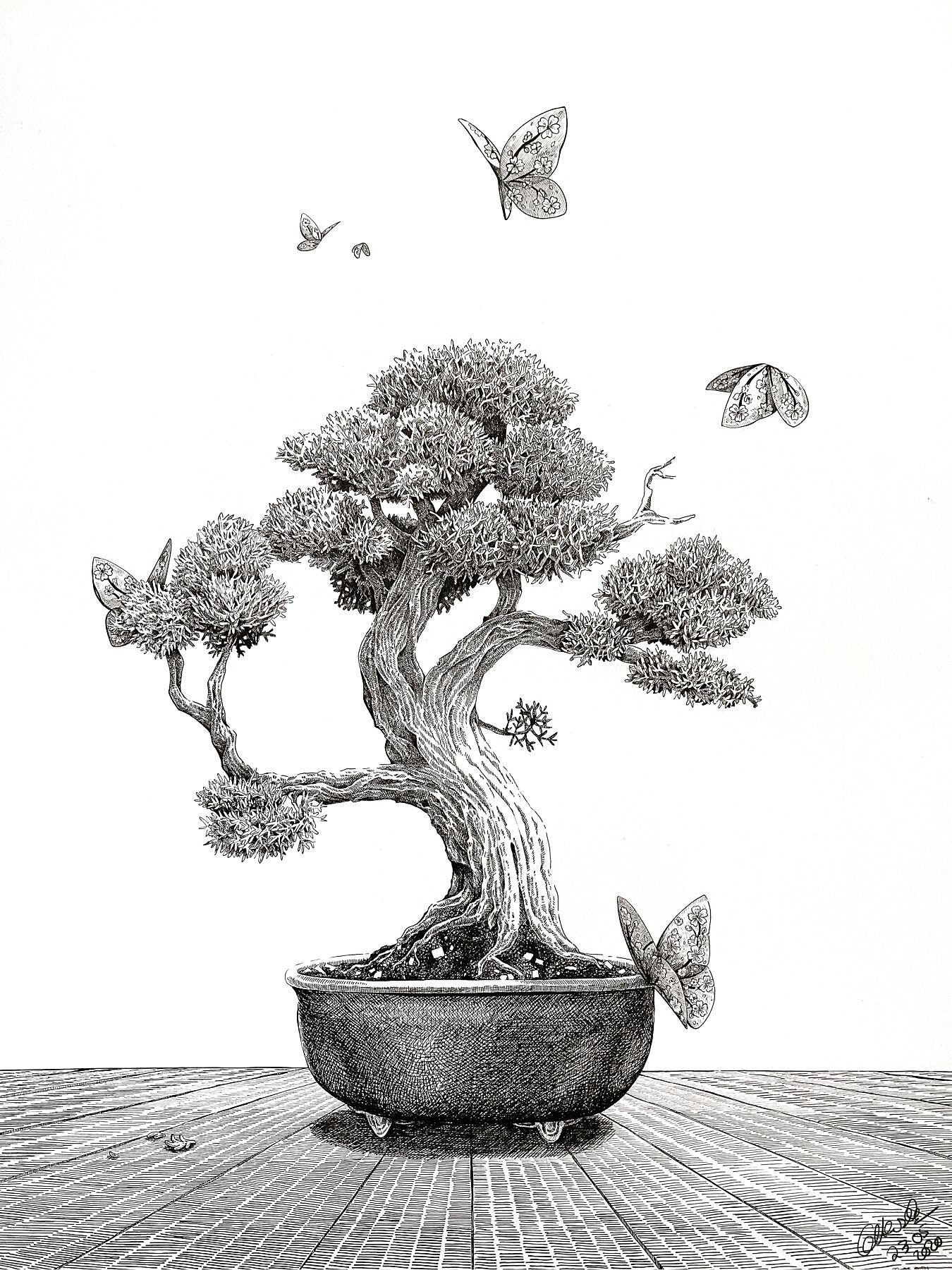 Cherry Bonsai Tree Drawing