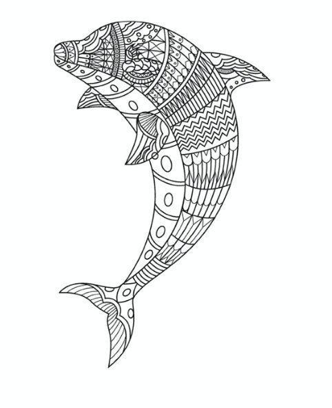 Pack of 232 Colouring Pages! - Etsy