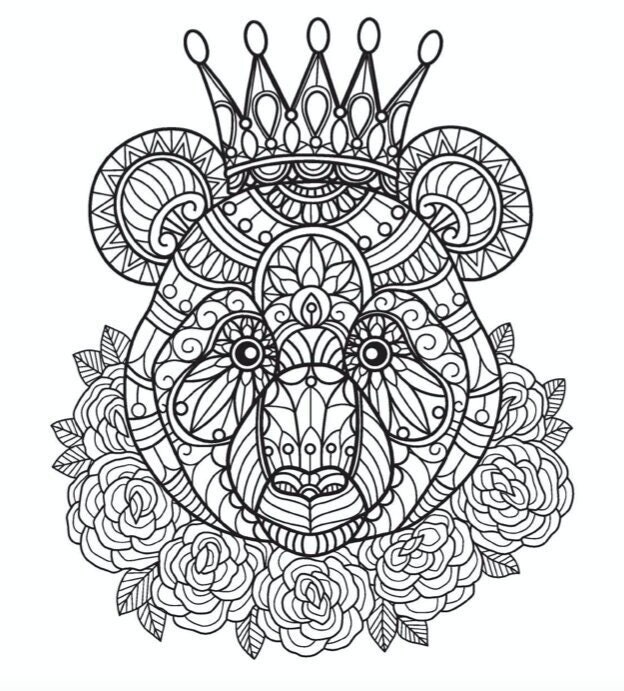 Pack of 232 Colouring Pages! - Etsy