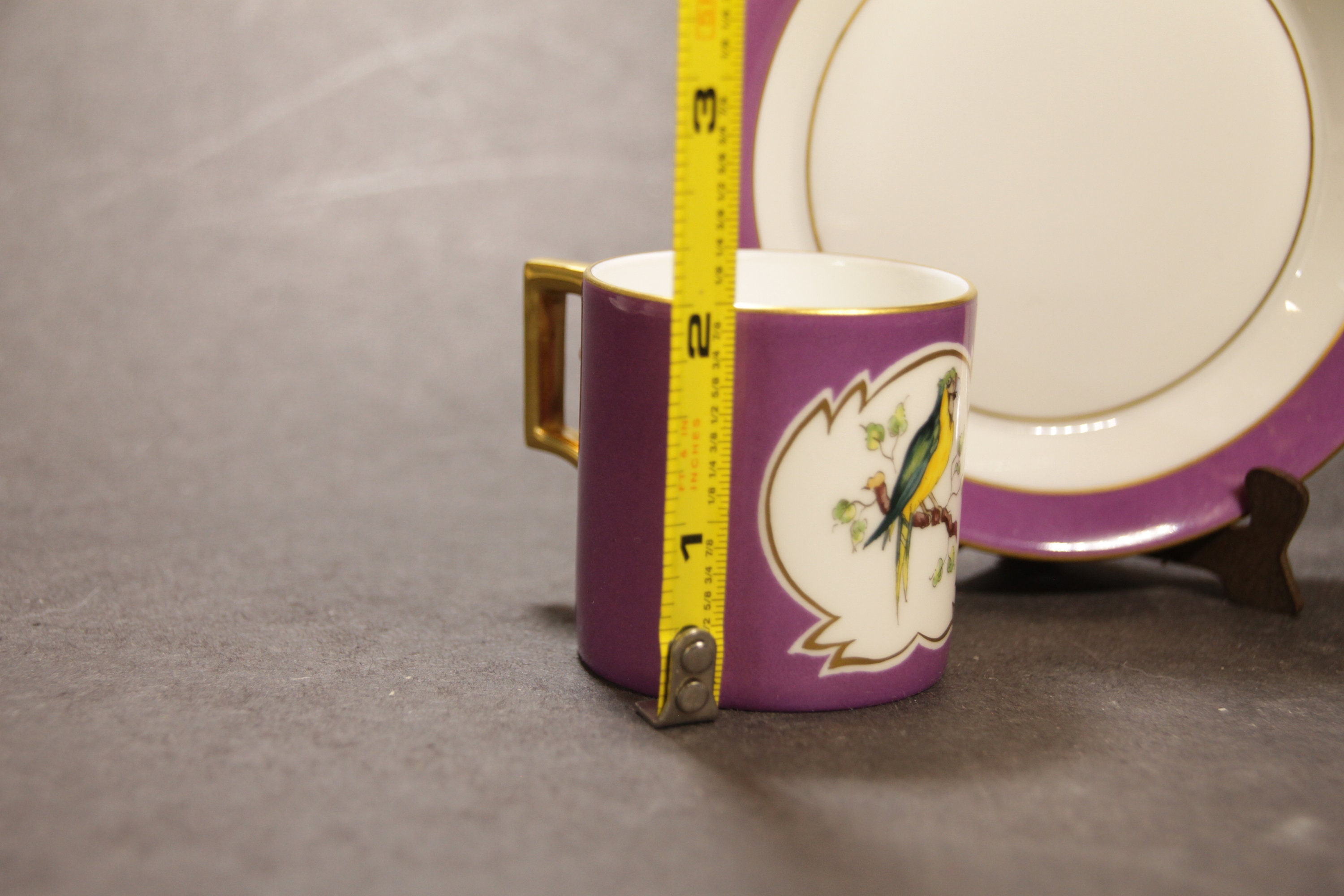 Augarten WIEN Porcelain -cup and Saucer- Austria Vintage - Etsy