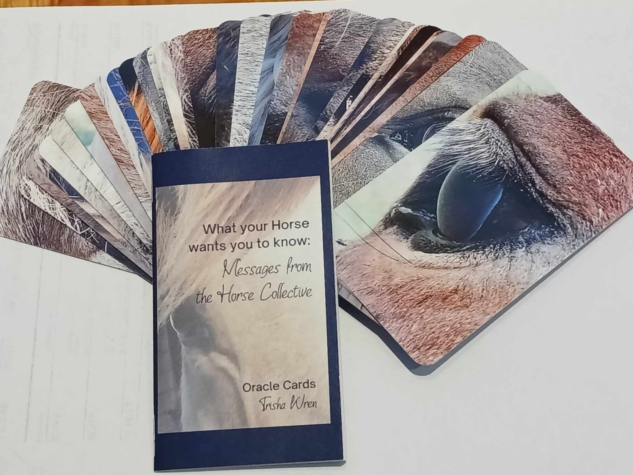 Horse Oracle Cards - Messages From the Horse Collective: What Your ...
