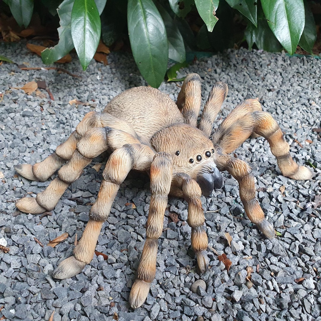 Garden Figure Spider Figure Tarantula 26 Cm Wide, Figure for the Garden ...